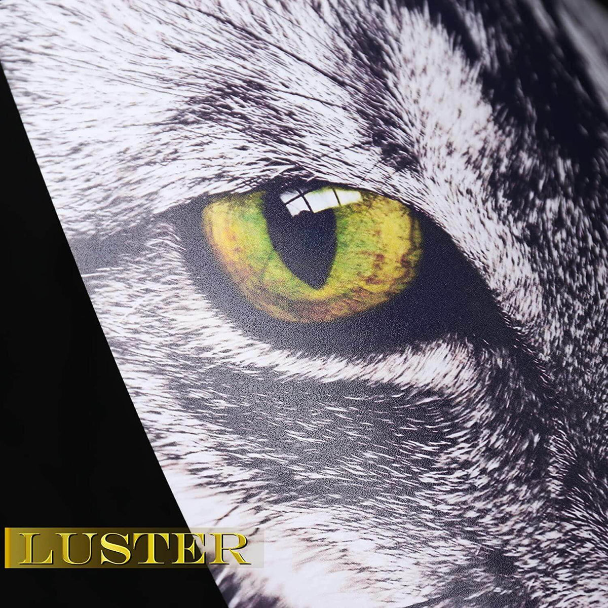 A-SUB 8.5"x11""Luster 74lb Premium Double Sided Photo Paper