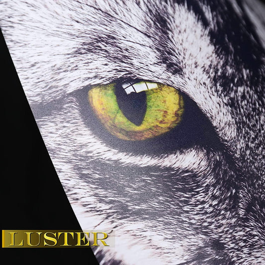 A-SUB 8.5"x11" Luster 74lb Premium Double Sided Photo Paper