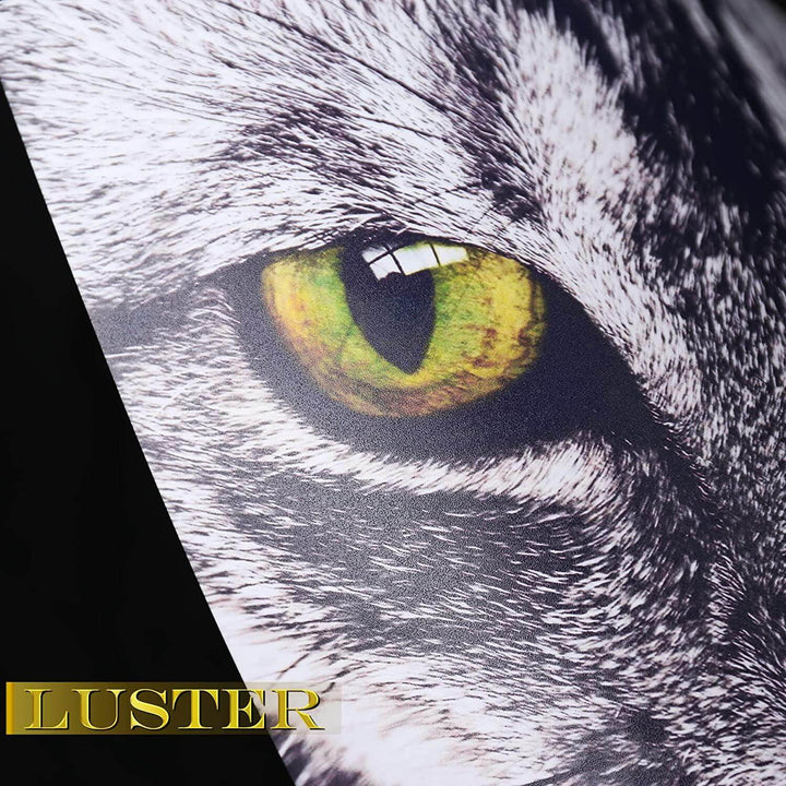 A-SUB 8.5"x11" Luster 74lb Premium Double Sided Photo Paper